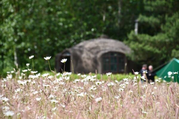 Bishops Wood – Field Studies Council