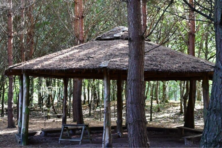 Bishops Wood – Field Studies Council