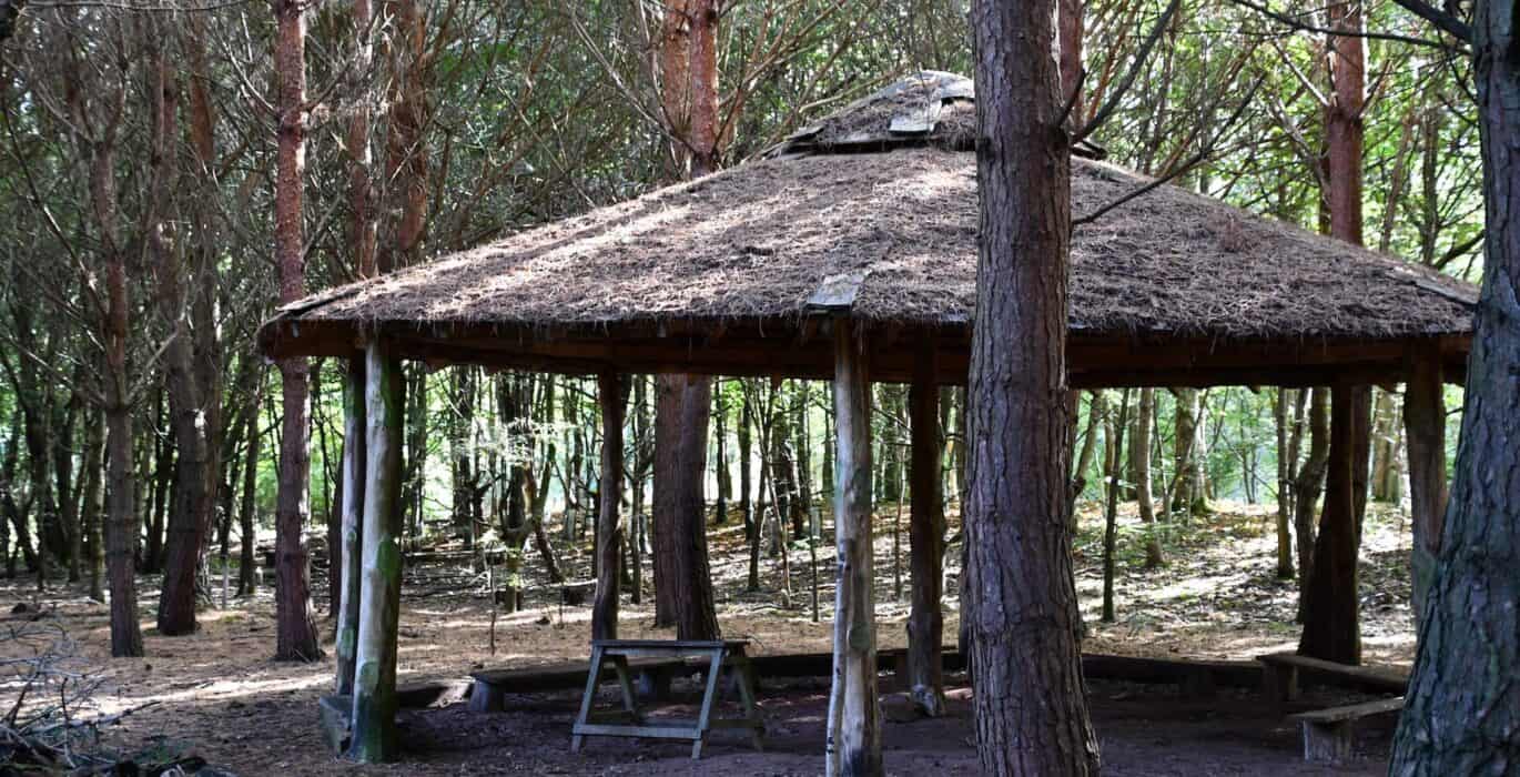 Bishops Wood – Field Studies Council