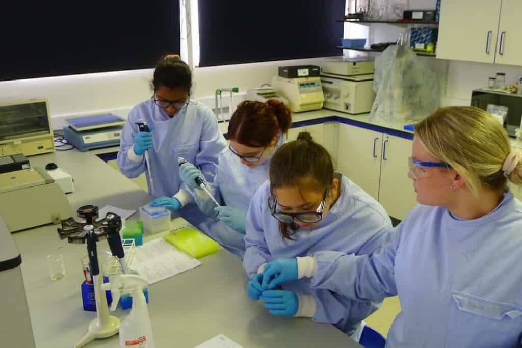 Castle Head – Field Studies Council