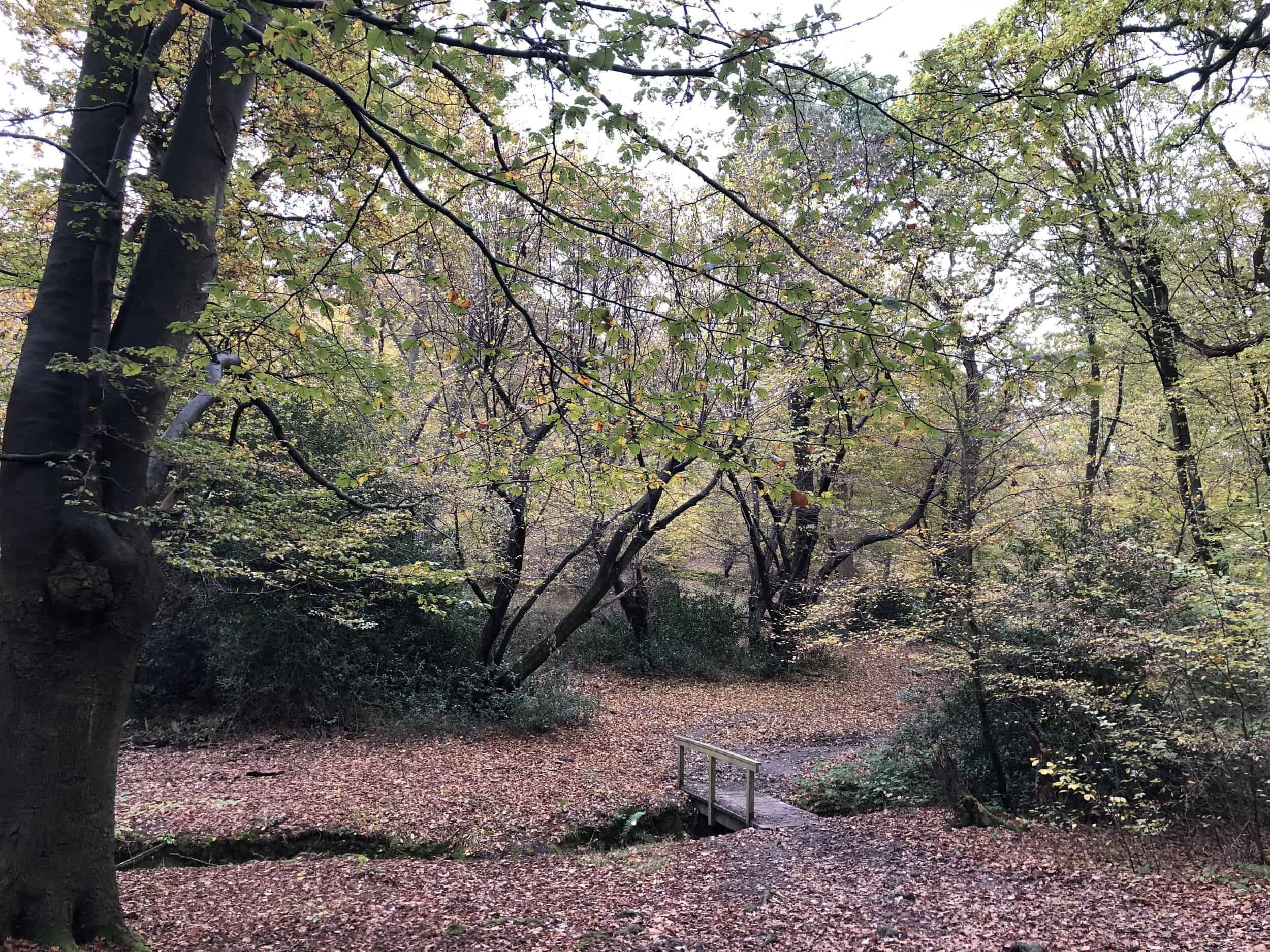 Epping Forest Field Centre – Field Studies Council