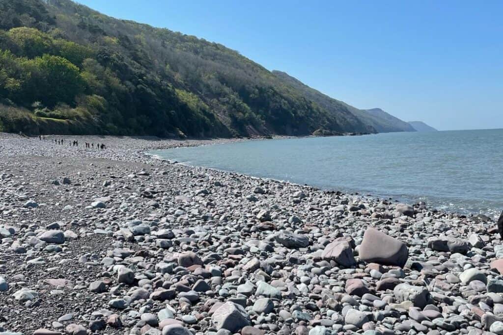 Nettlecombe Court – Field Studies Council