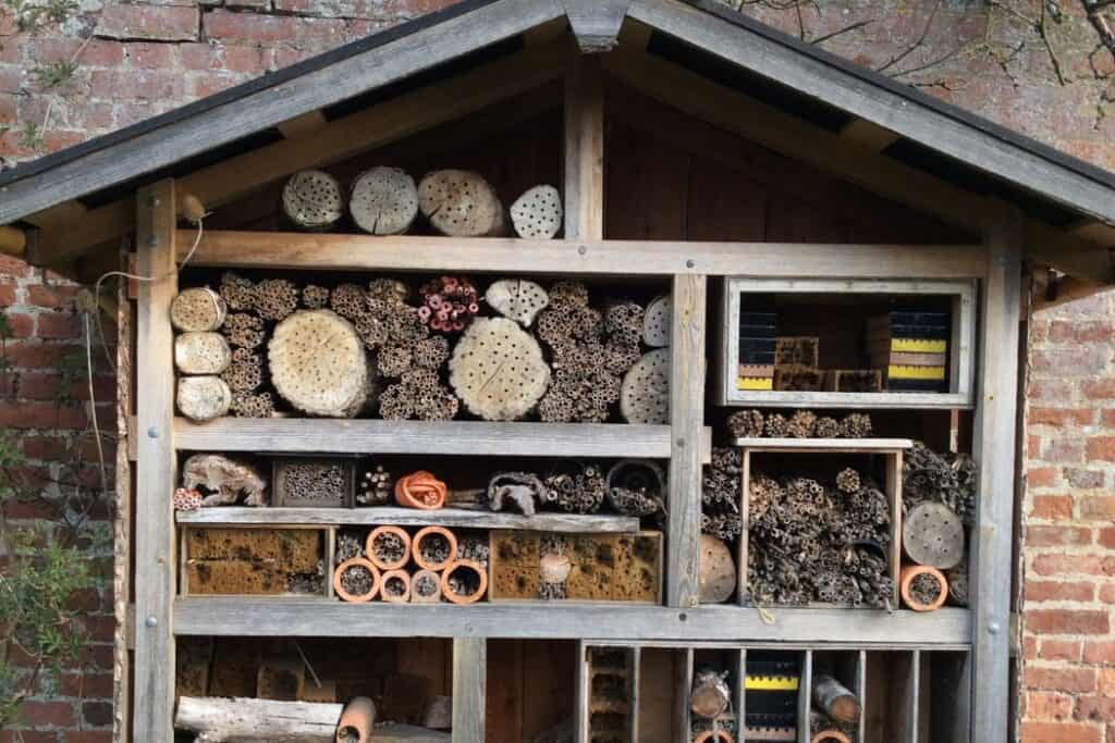 Preston Montford – Field Studies Council