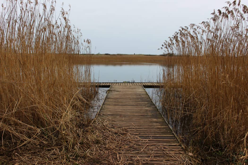 Slapton Ley National Nature Reserve – Field Studies Council