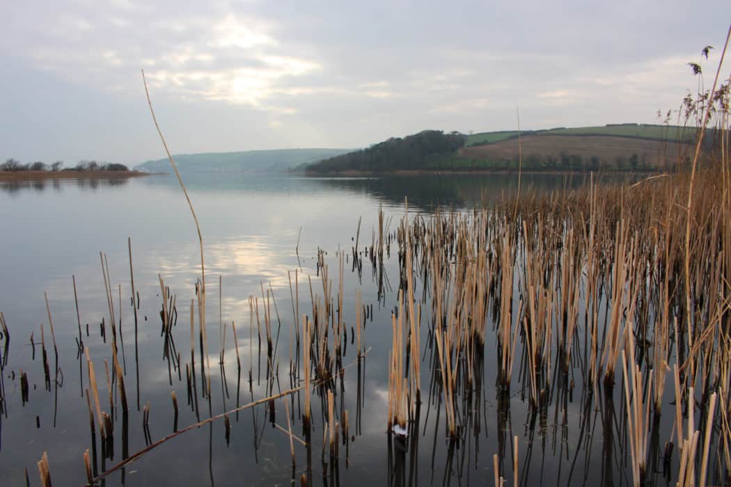 Slapton Ley National Nature Reserve – Field Studies Council