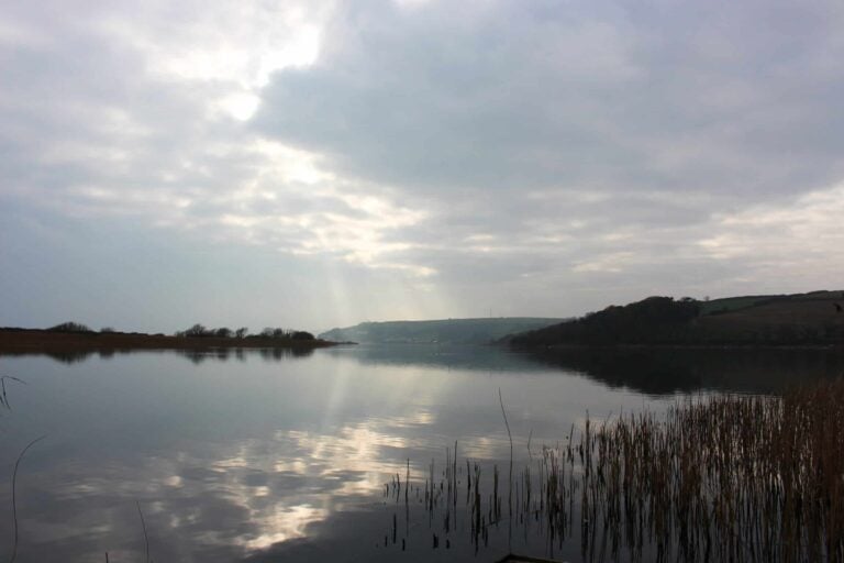 Slapton Ley National Nature Reserve – Field Studies Council
