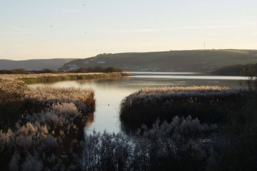 Slapton Ley National Nature Reserve – Field Studies Council