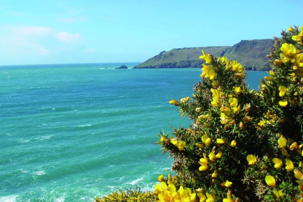 Slapton Ley National Nature Reserve – Field Studies Council