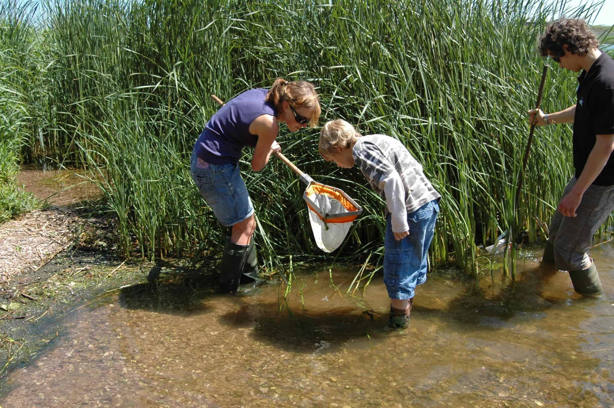 Freshwater name trail – Field Studies Council