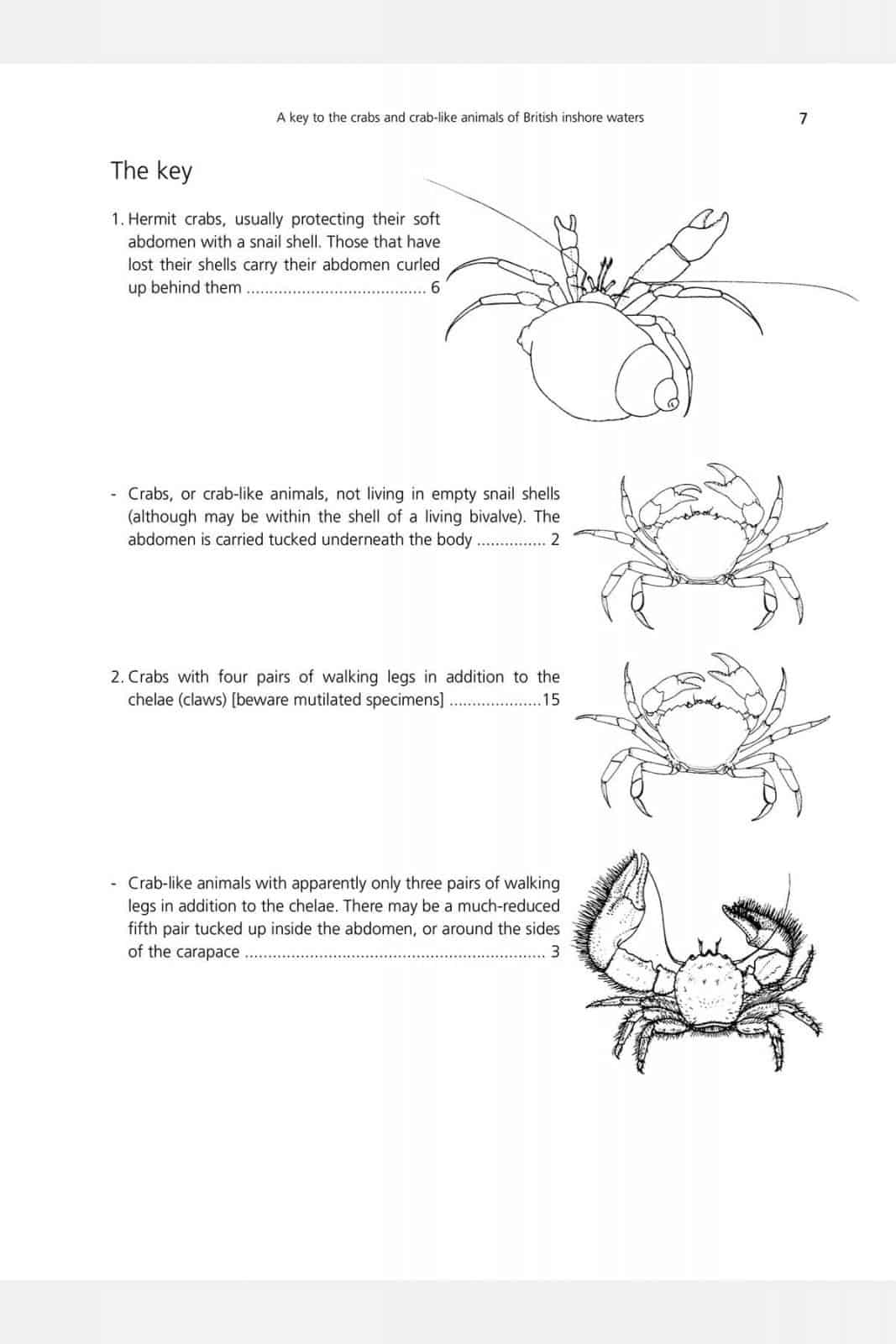 Crabs AIDGAP – Field Studies Council