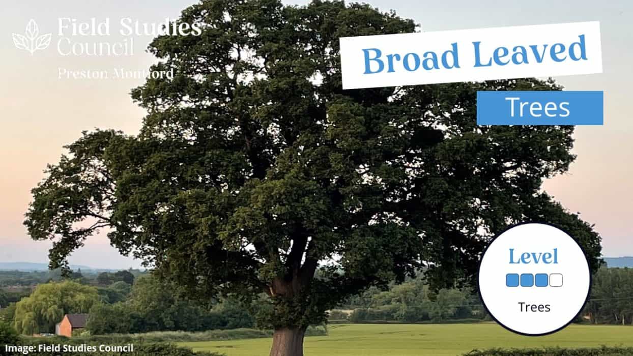 Trees and Woodlands in the British Landscape – Field Studies Council