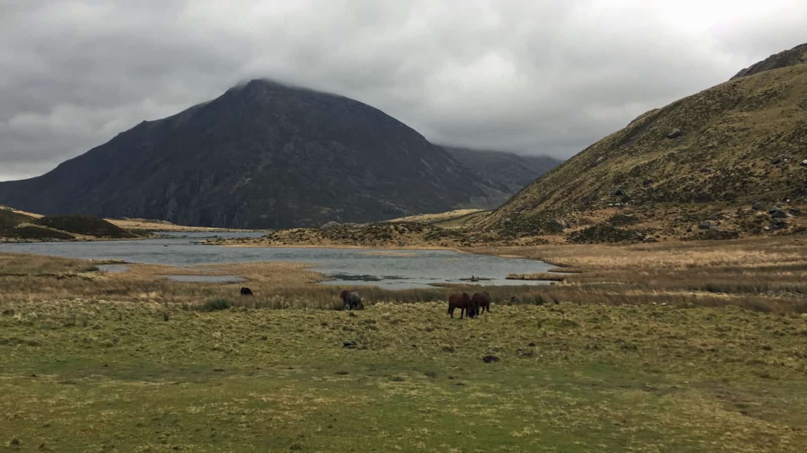 Geology and Earth Science Locations – Field Studies Council