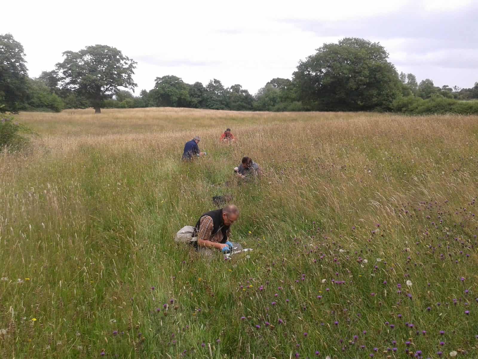 Botanical Skills for Ecologists – Field Studies Council