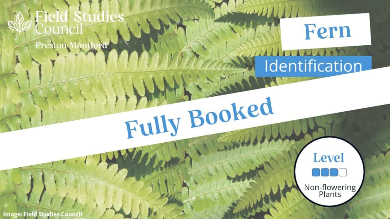 Ferns guide – Field Studies Council
