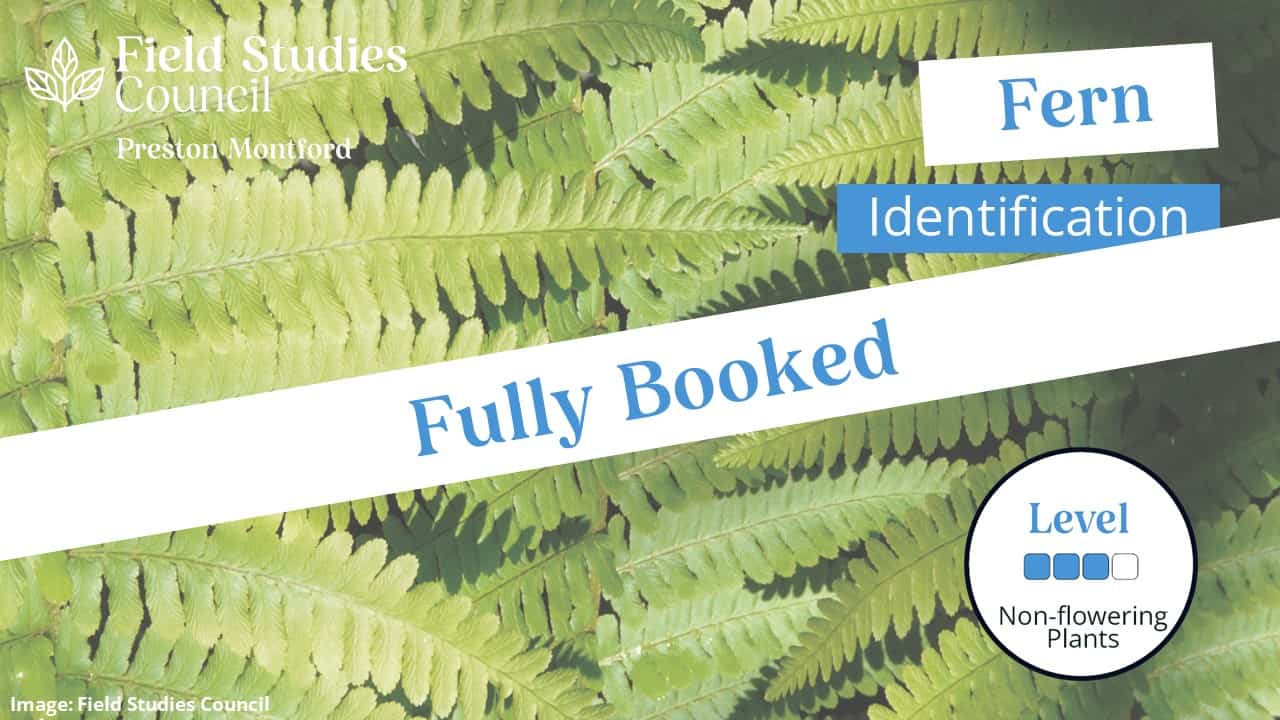 Ferns guide – Field Studies Council