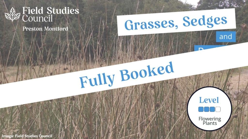 Rushes guide – Field Studies Council