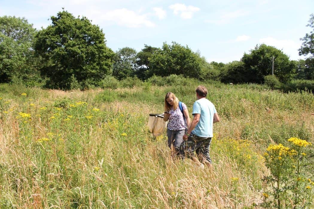 Projects – Field Studies Council