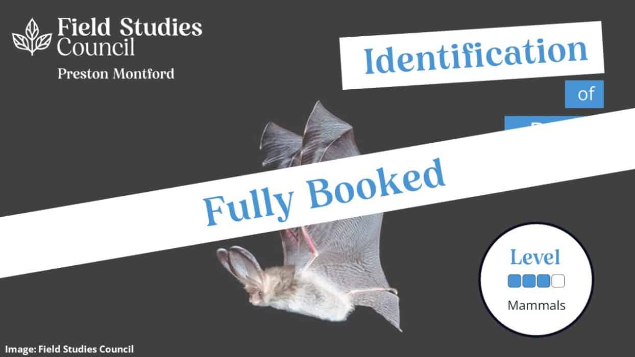 Bats guide – Field Studies Council