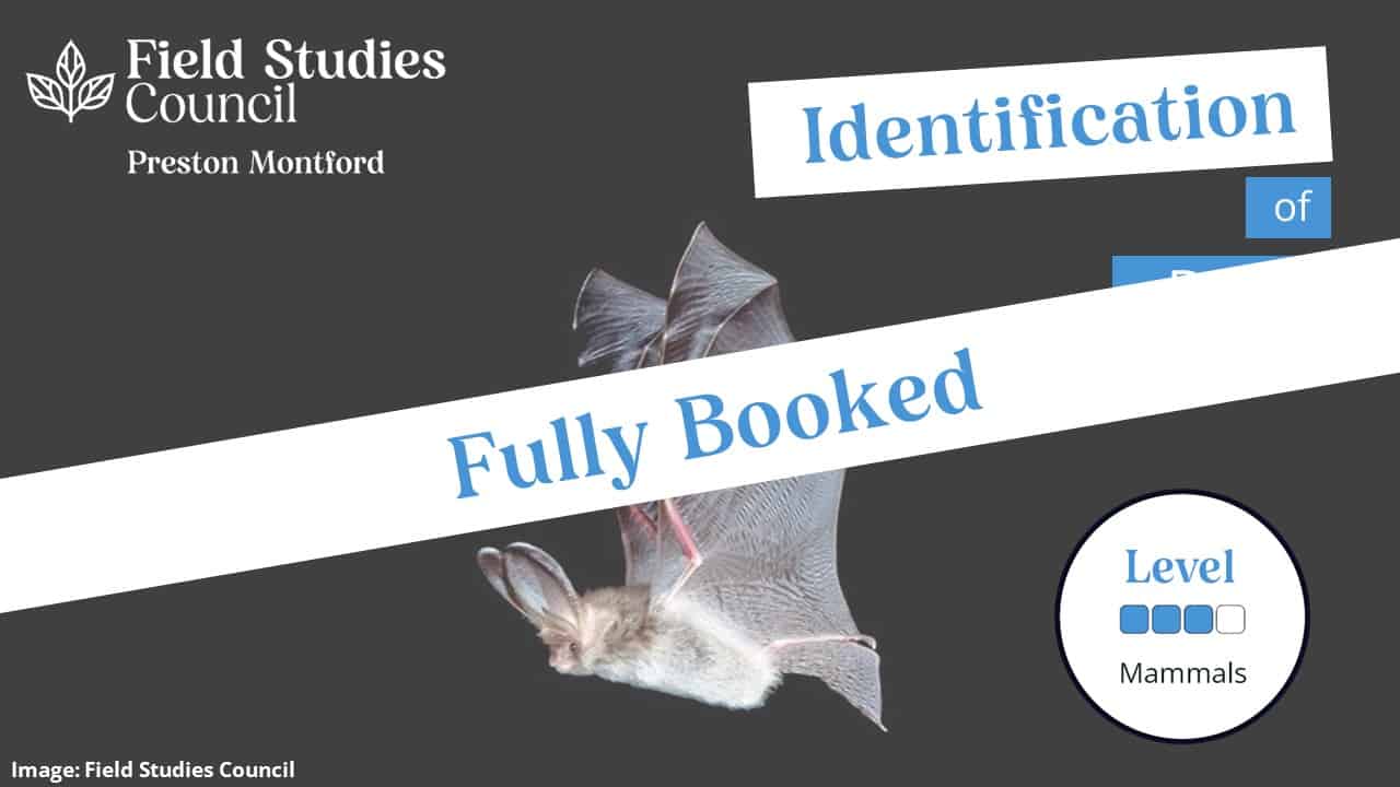 Bats guide – Field Studies Council