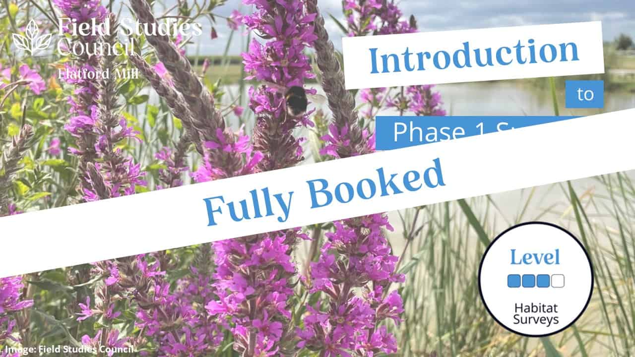 Introduction to Phase 1 Surveys – Field Studies Council