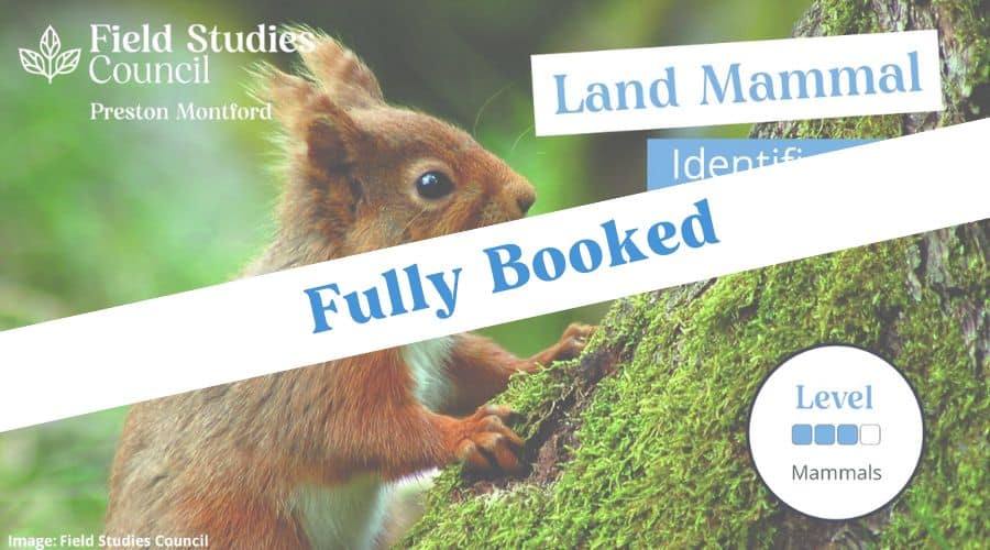 Bats guide – Field Studies Council