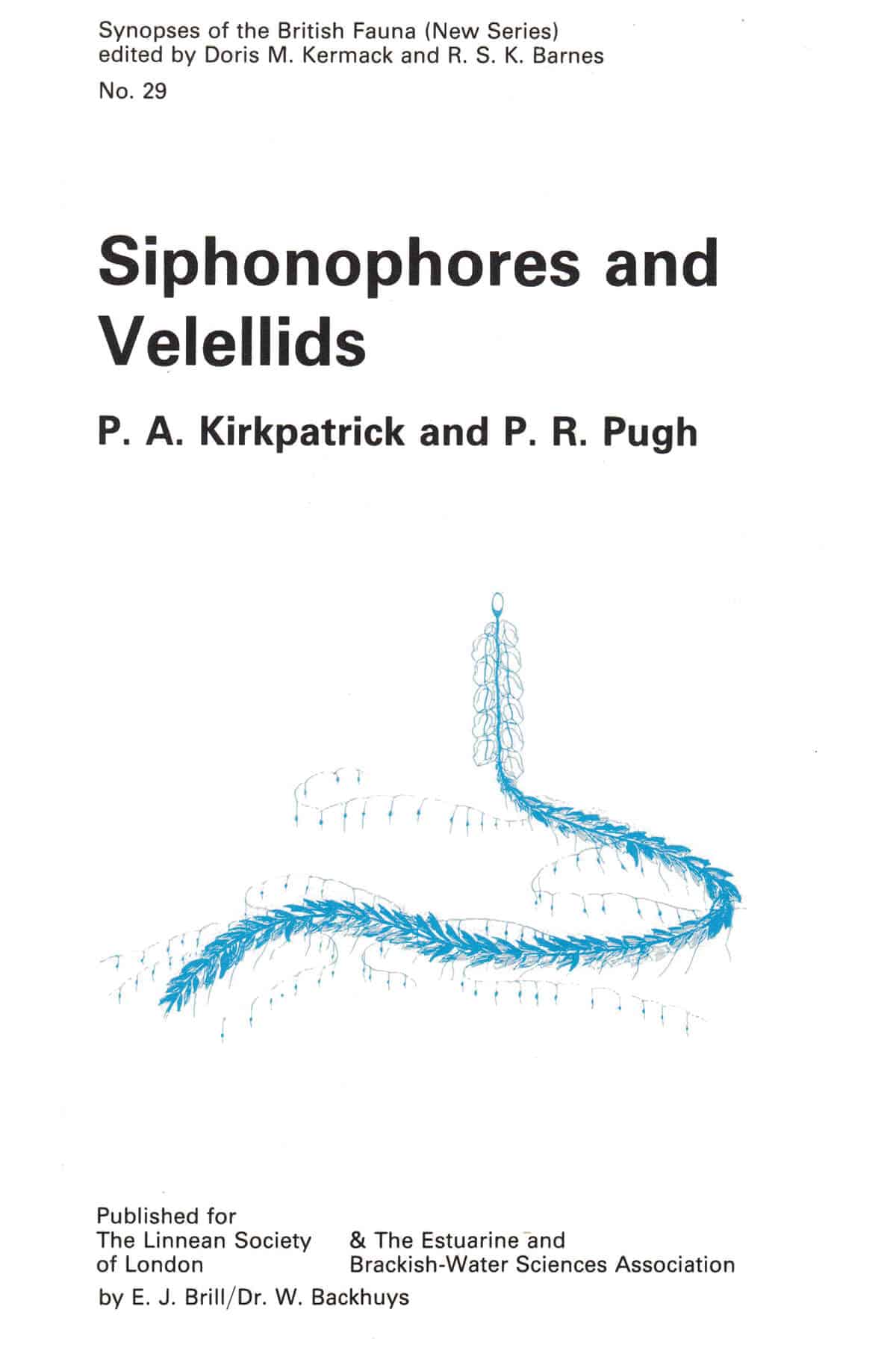 Siphonophores and velellids – Field Studies Council