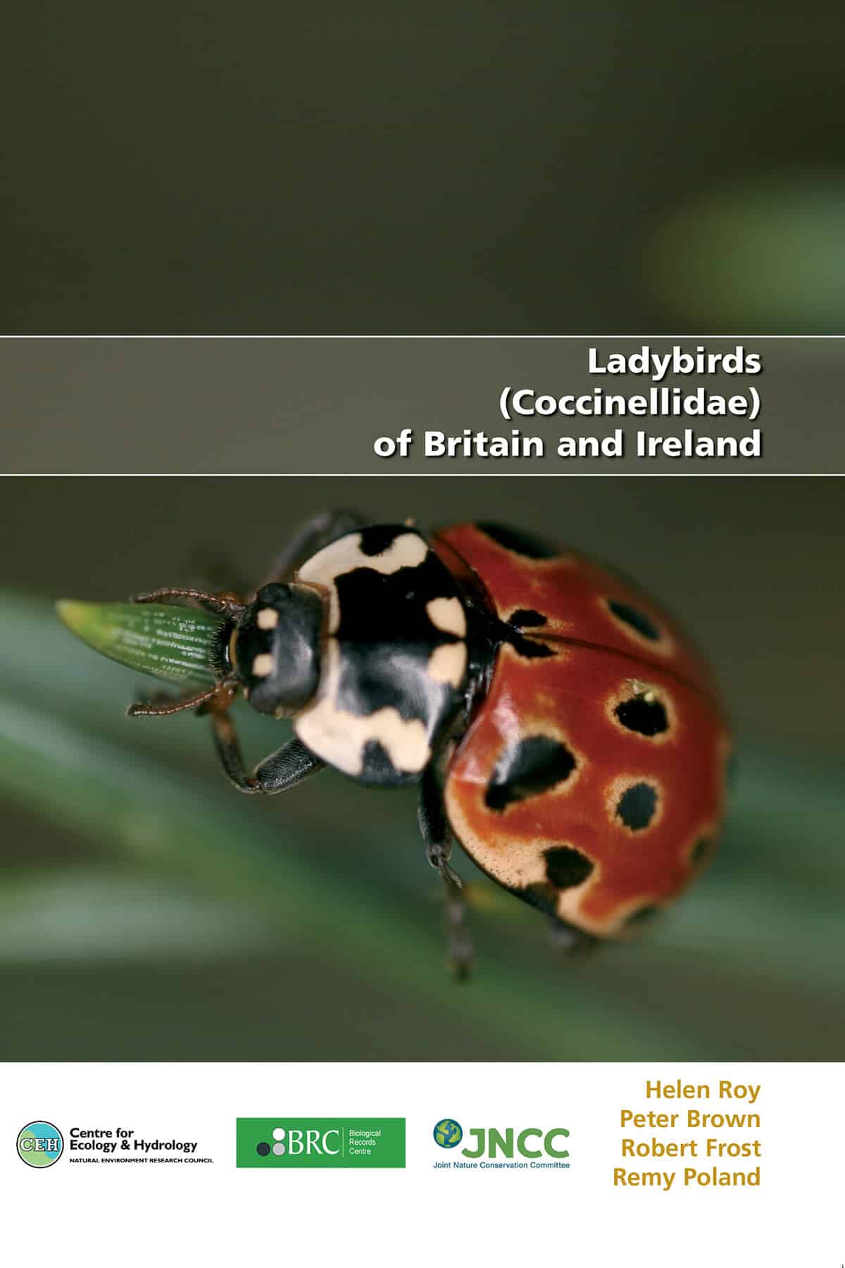 Ladybirds atlas – Field Studies Council