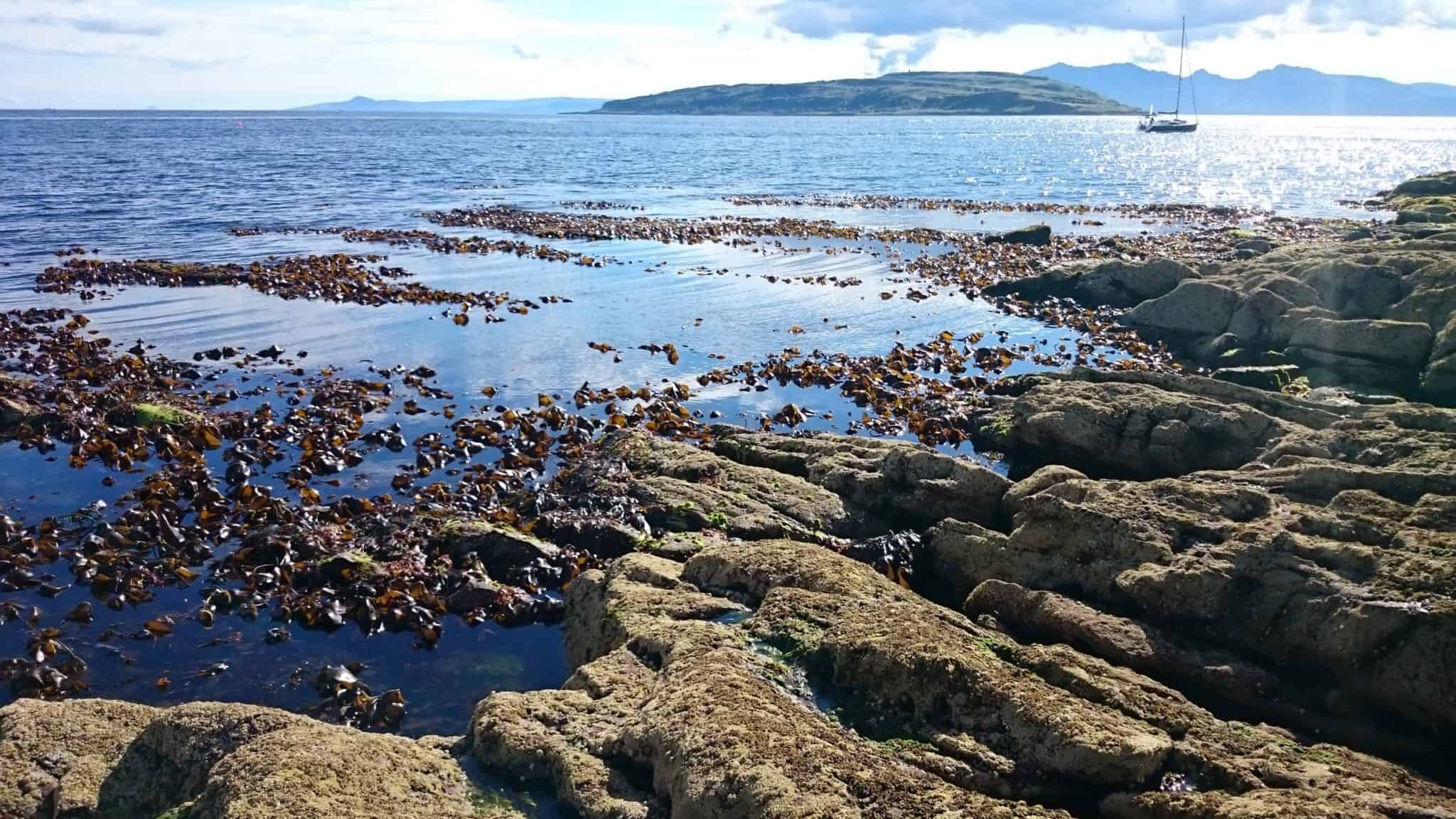 Geology and Earth Science University Trips | Field Studies Council