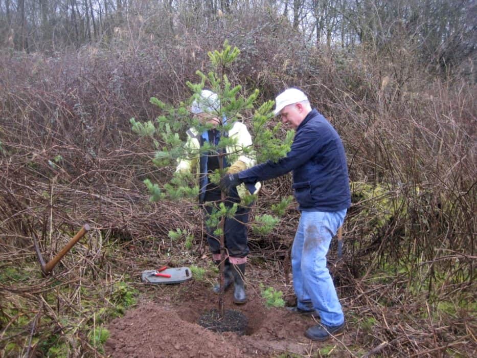 Free Tree Training – Field Studies Council