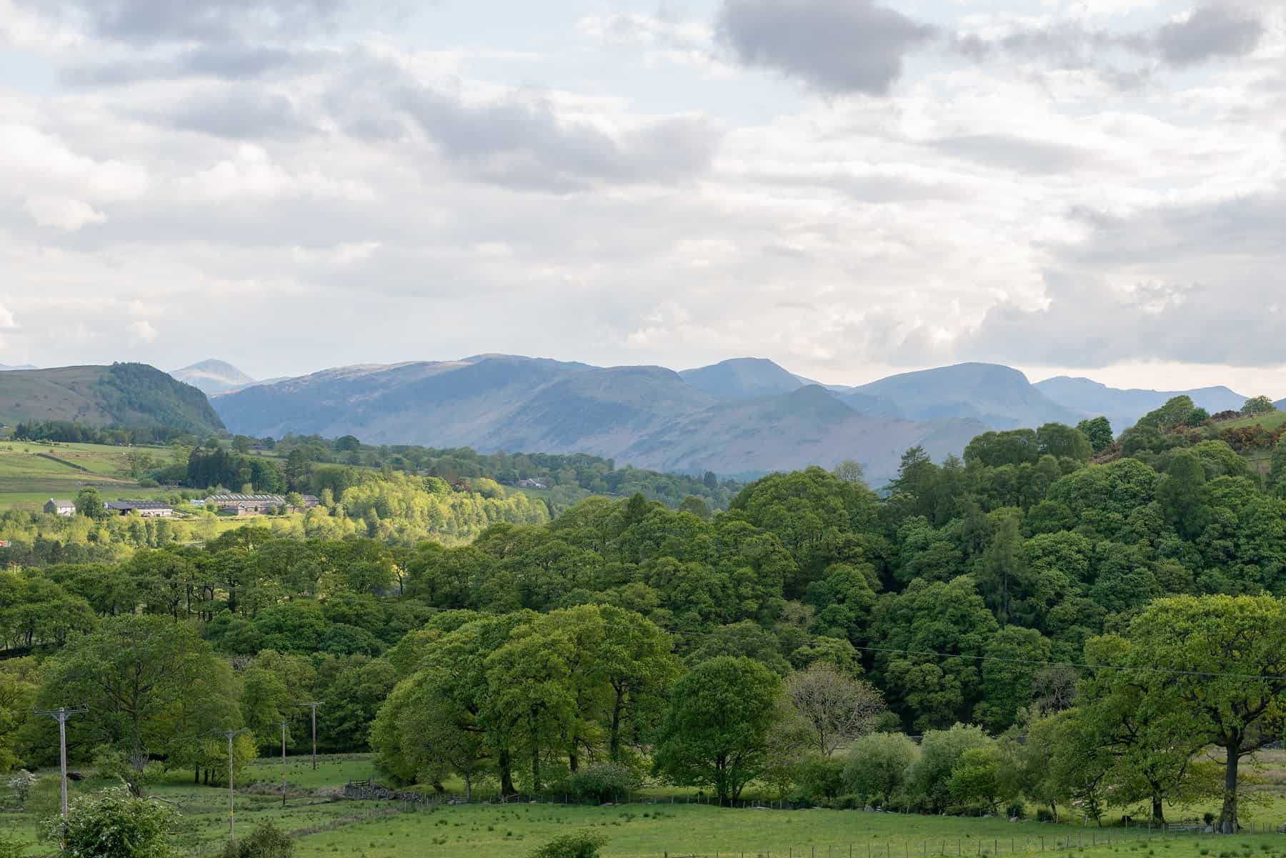 Walking and Nature Experiences – Field Studies Council