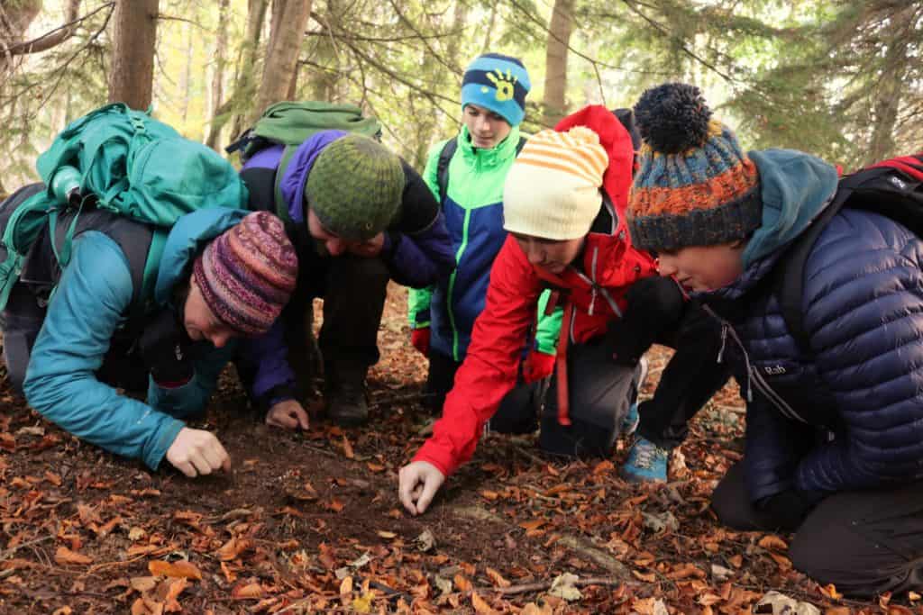 Group Leader and Teacher Training – Field Studies Council