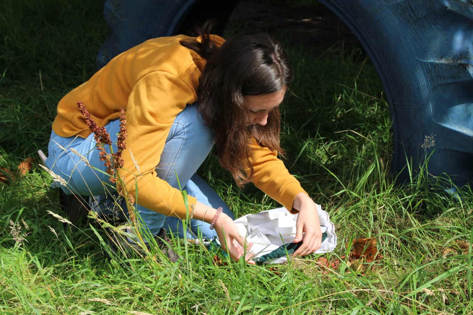 How to use our guides – Field Studies Council