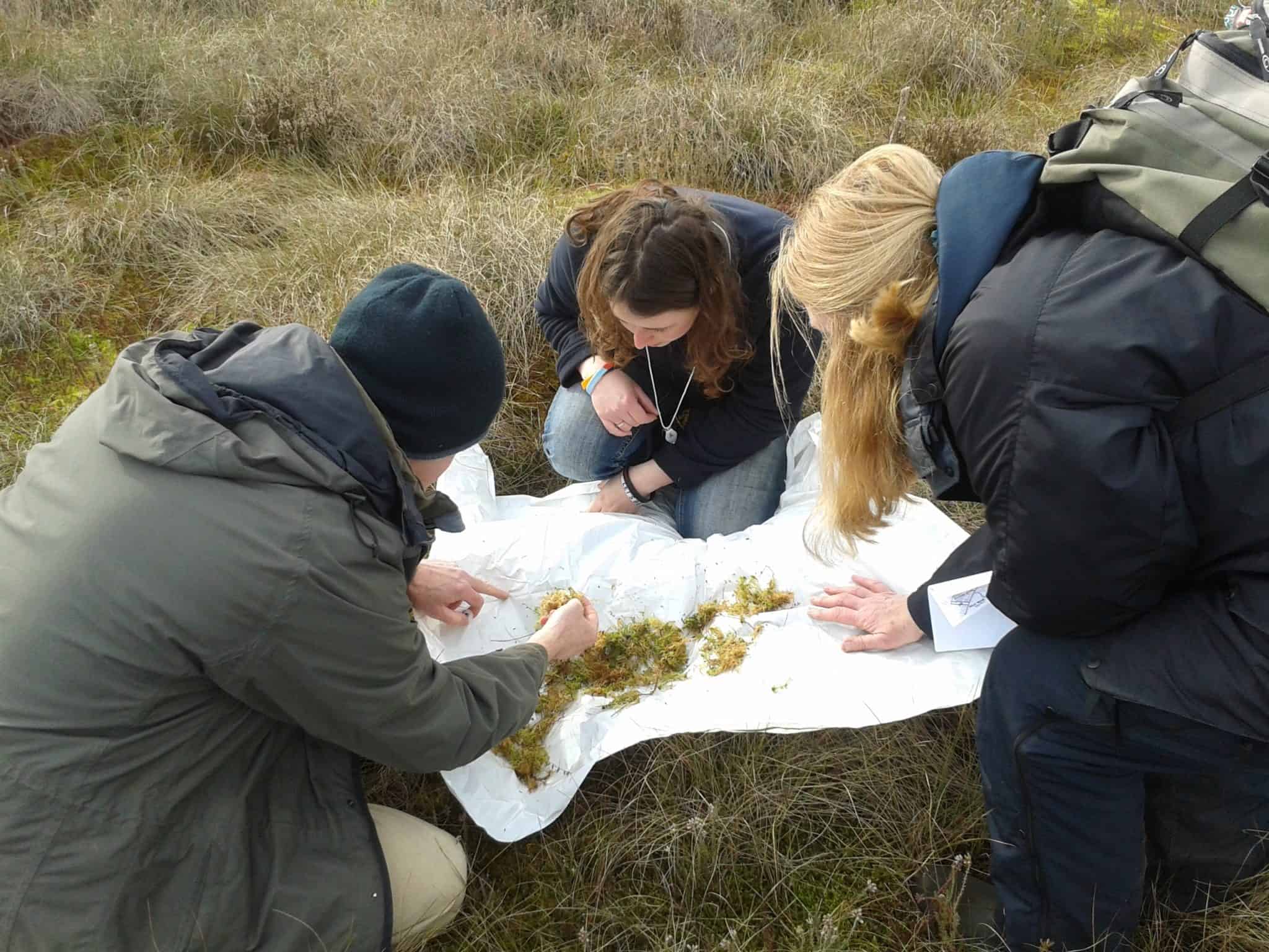 Bryophytes: Ecology and Identification- HAU – Field Studies Council