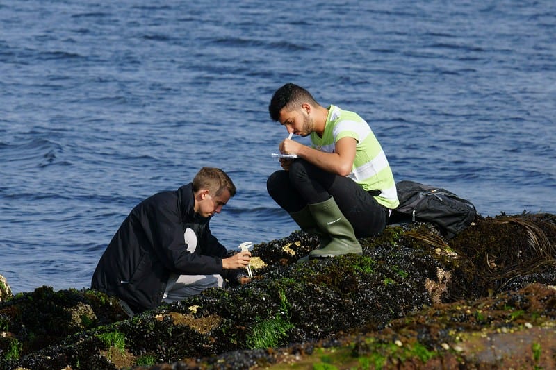 STEM By Nature - FSC Scotland – Field Studies Council