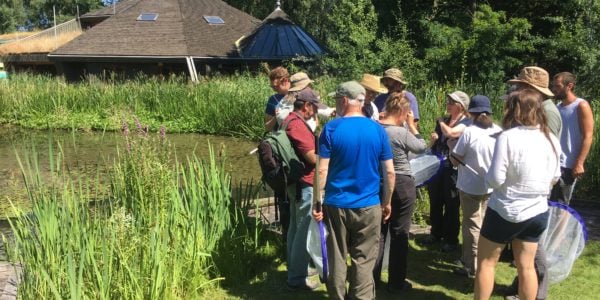 Natural History Biodiversity Training Field Studies Council
