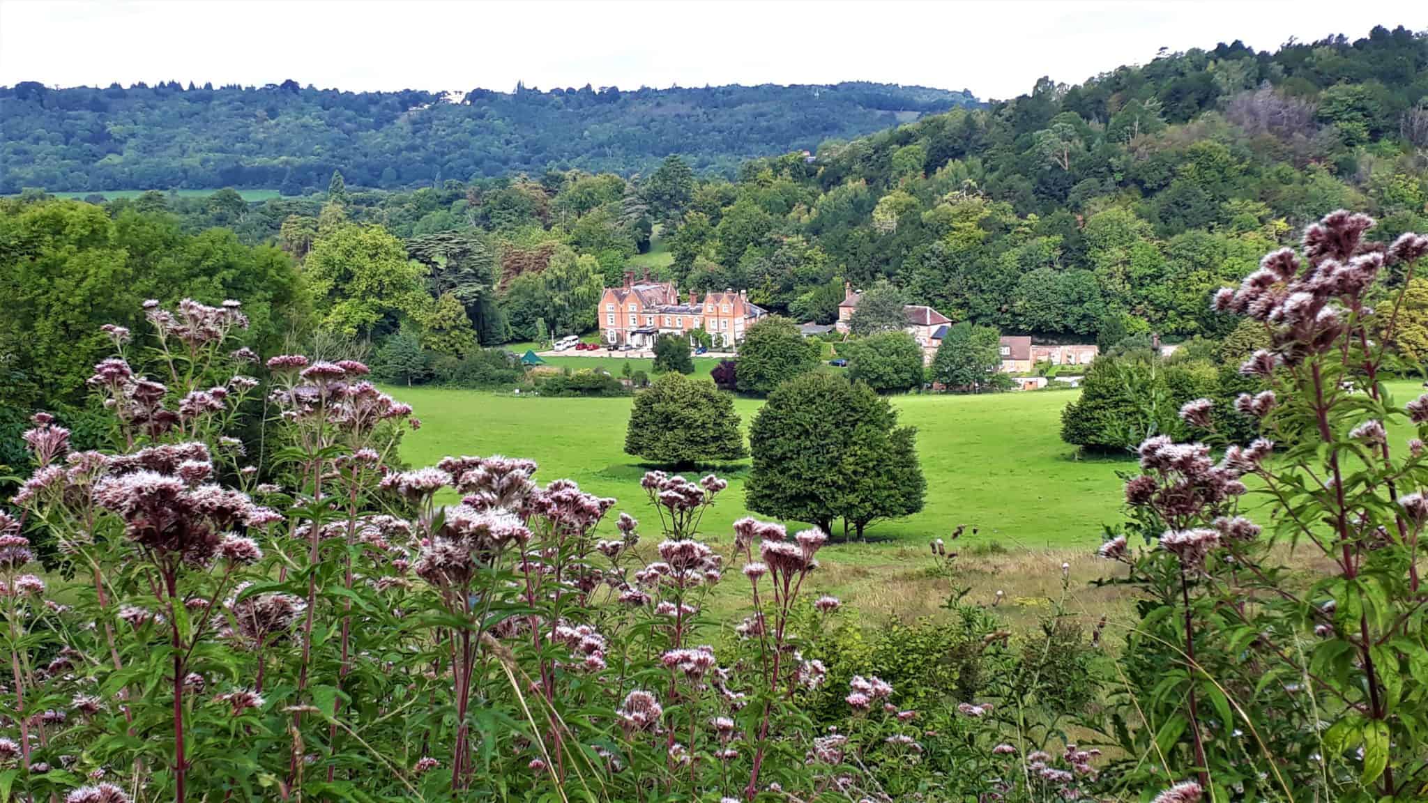 Nature Nuts – Field Studies Council