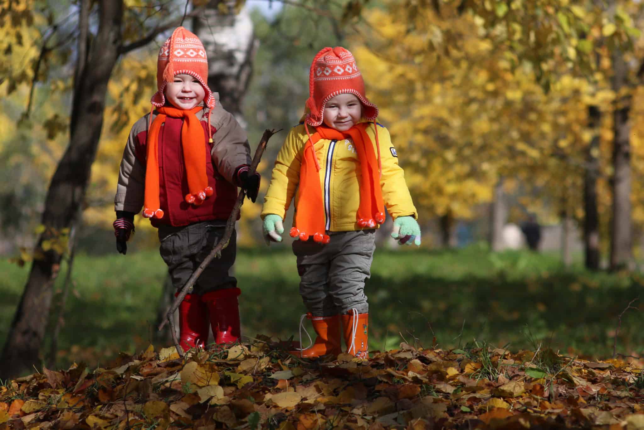 An Autumn Woodland Adventure – Field Studies Council