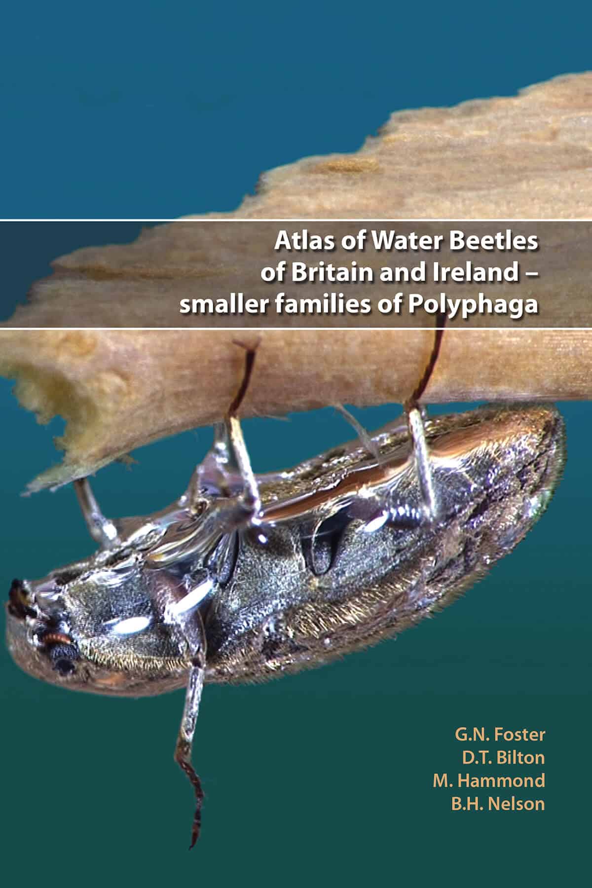 Water beetles atlas (smaller families of Polyphaga) – Field Studies Council