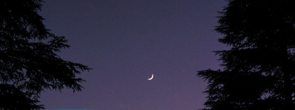 Nightfall Nature Walk – Field Studies Council