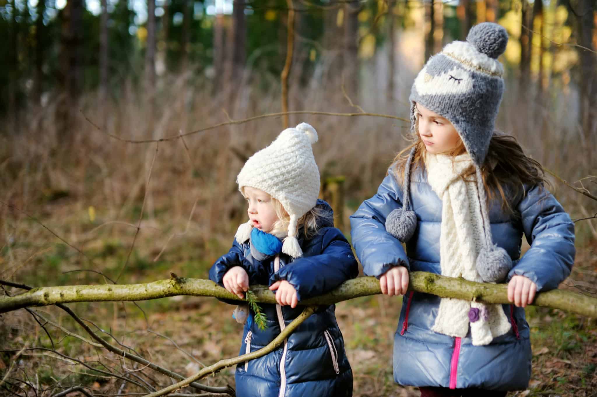 Family Nature Day -Winter - Bishops Wood - 07/12/2025 – Field Studies ...