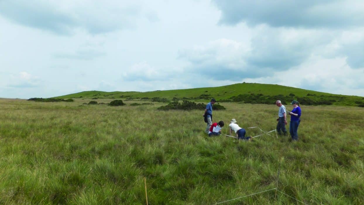 Environmental Science University Trips | Field Studies Council