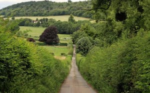 Hedgerows guide – Field Studies Council
