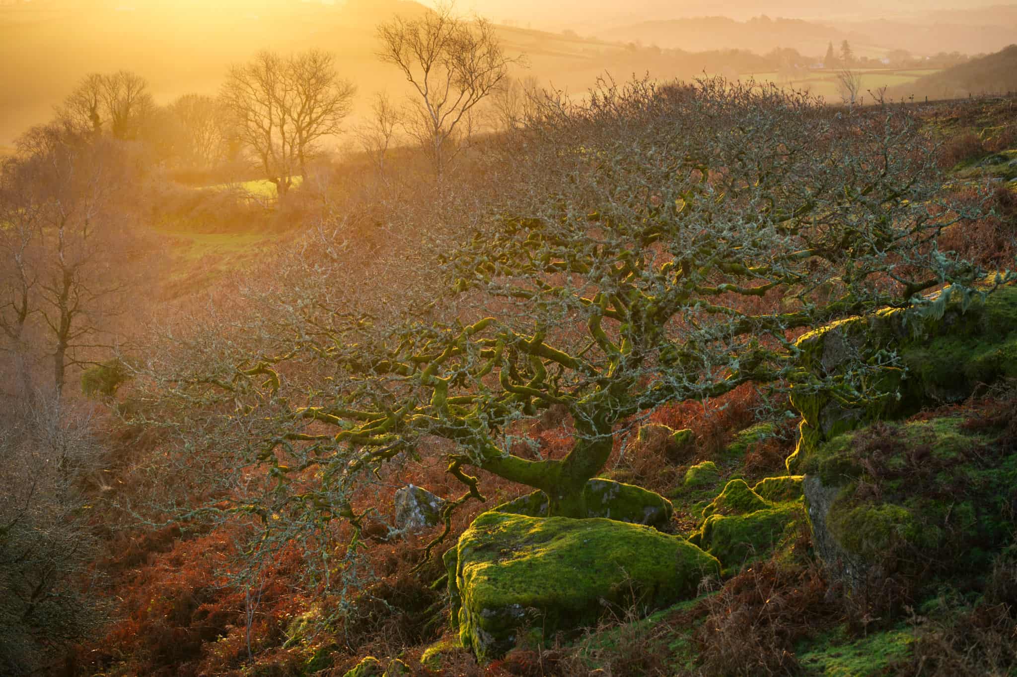 Photographing Devon In Autumn: An Introduction to Landscape Photography ...