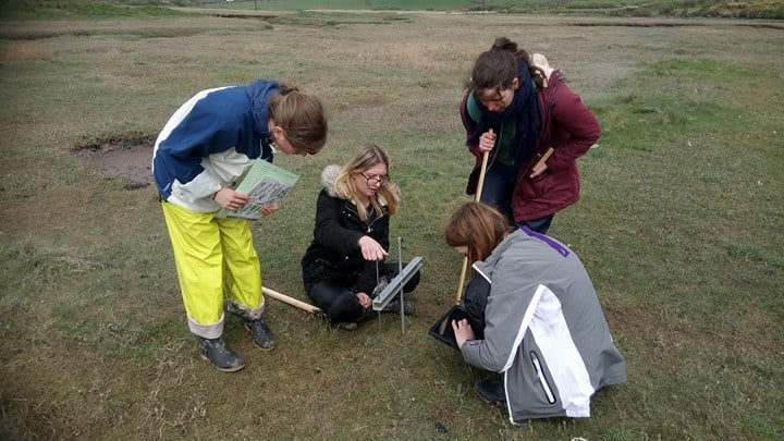 Transects – Field Studies Council