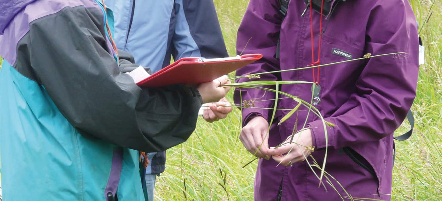 Grasses AIDGAP – Field Studies Council