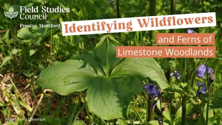 Natural History Courses – Field Studies Council