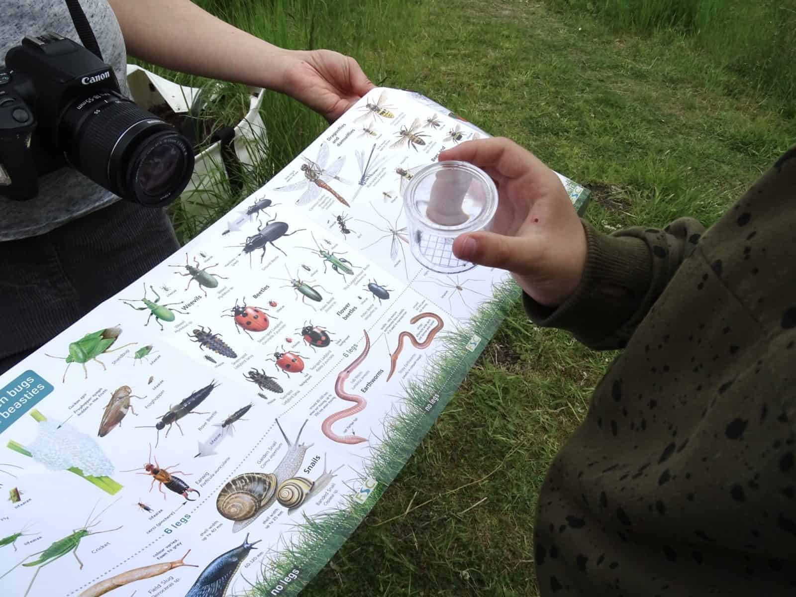 How to use our wildlife ID guides – Field Studies Council