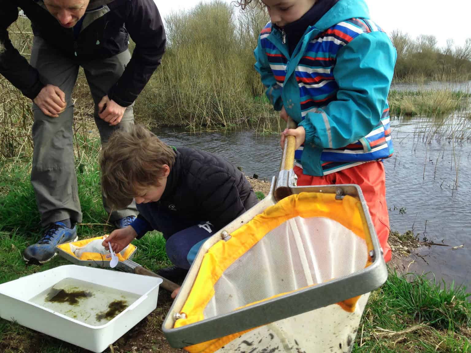 Ponds wildlife pack – Field Studies Council