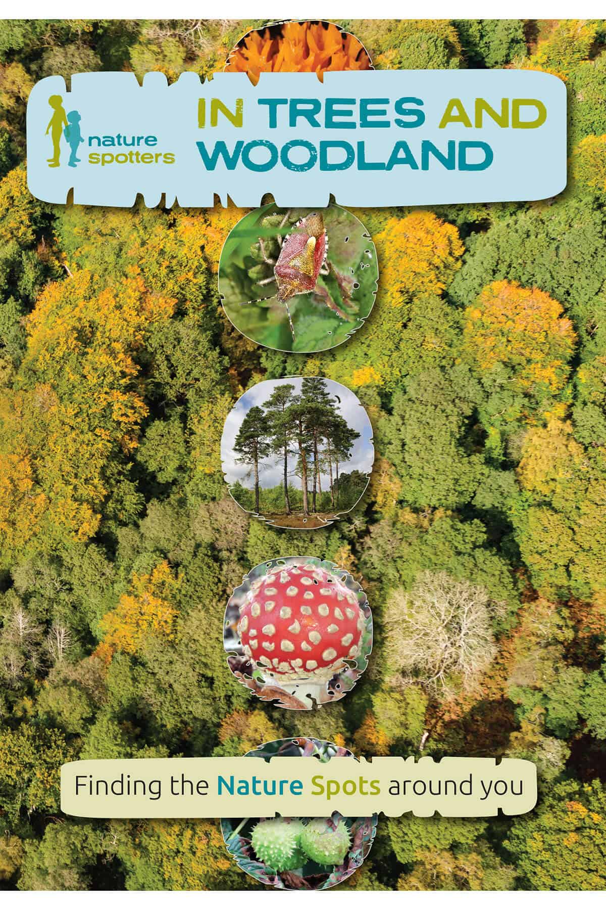 Shieldbugs guide – Field Studies Council