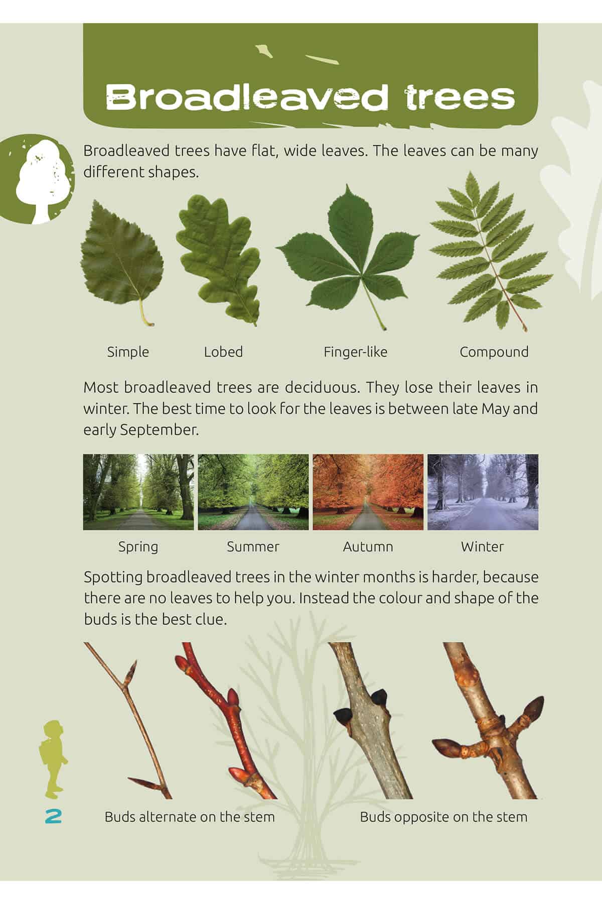 Nature spotters in trees and woodland – Field Studies Council